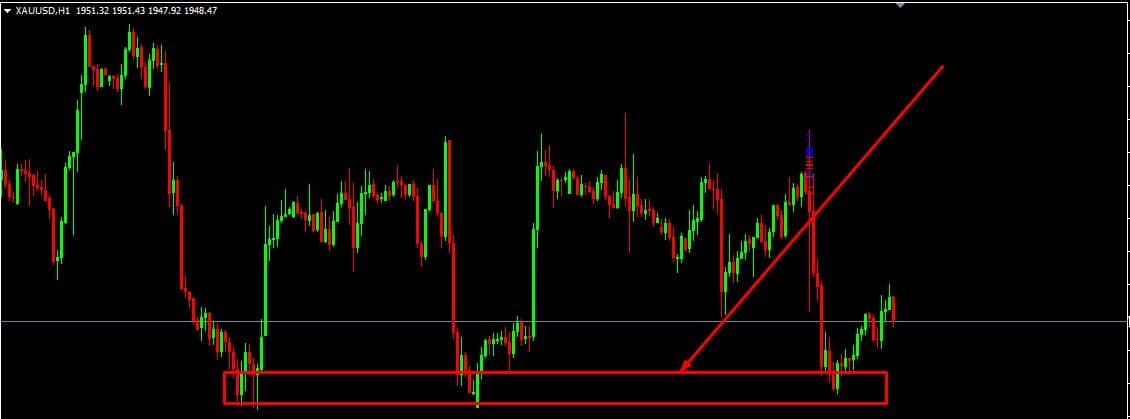 การแบ่งแผนภูมิ Forex: วิธีอ่านอย่างมืออาชีพ รูปแบบกราฟมีกี่แบบ อะไรบ้าง